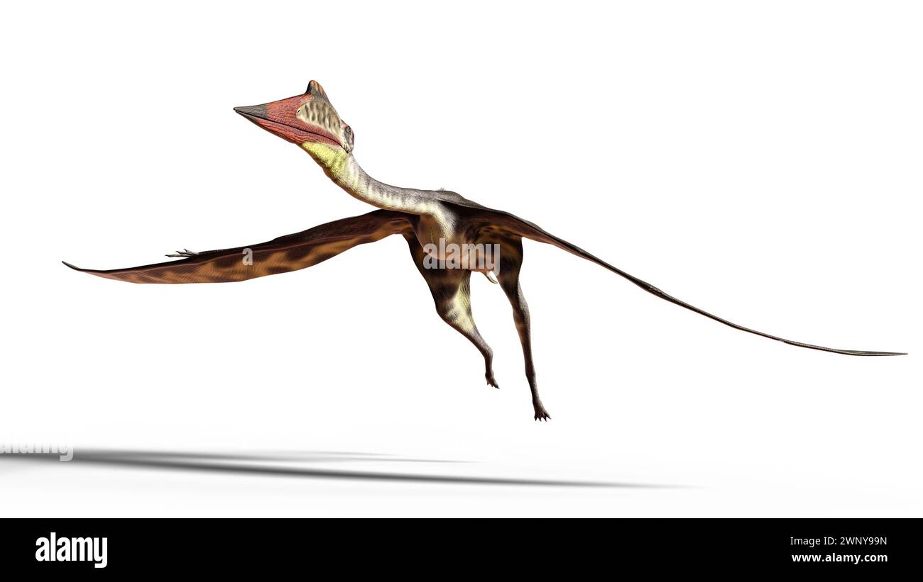 Quetzalcoatlus is a genus of azhdarchid pterosaur known from the Late ...