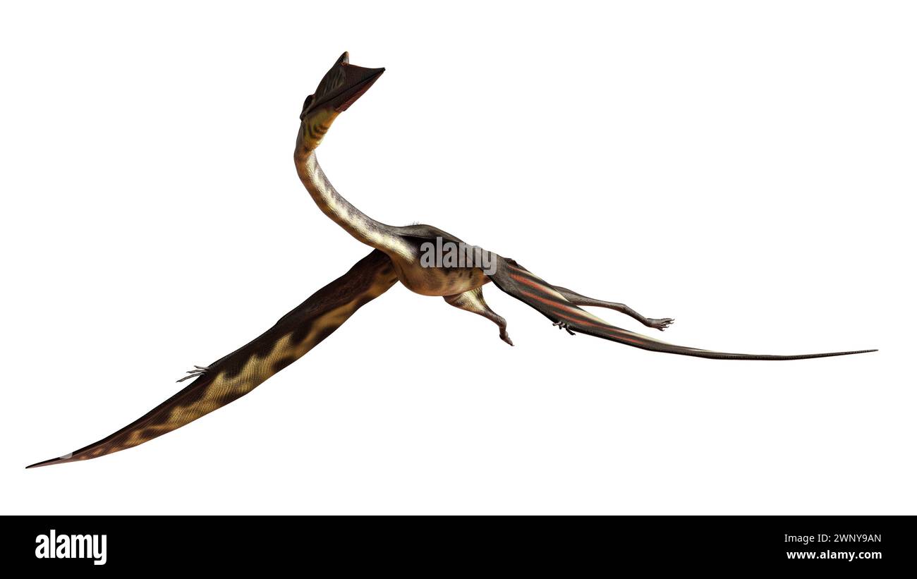 Quetzalcoatlus is a genus of azhdarchid pterosaur known from the Late ...