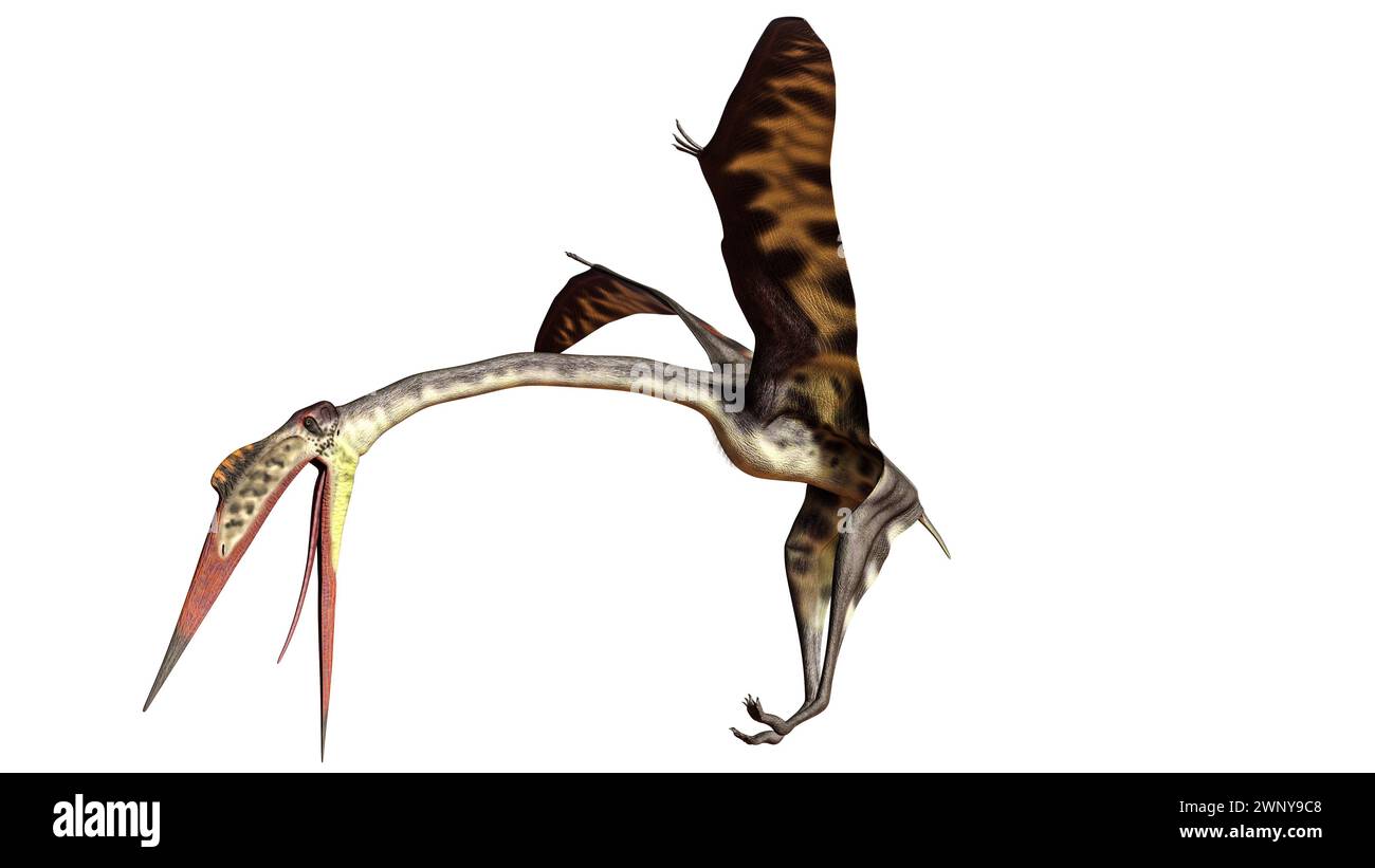 Quetzalcoatlus is a genus of azhdarchid pterosaur known from the Late ...