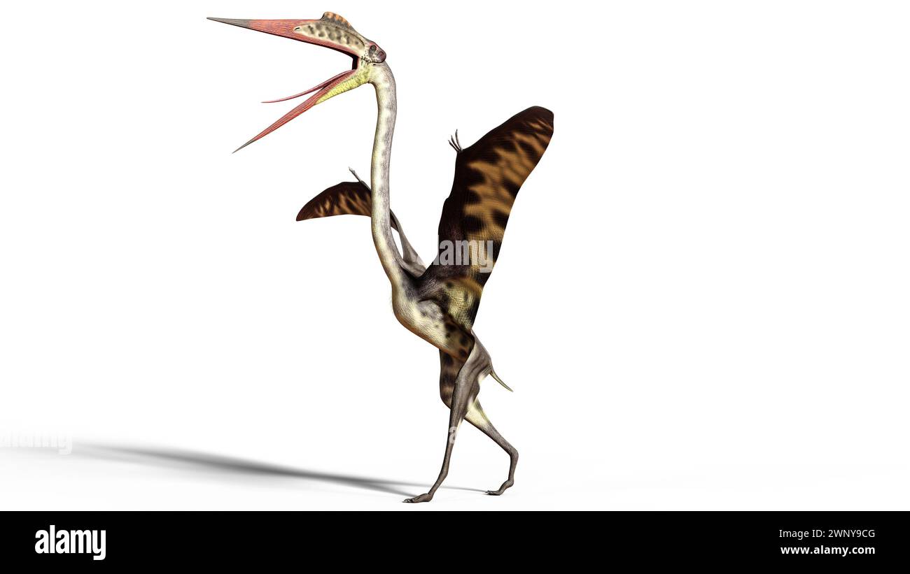 Quetzalcoatlus is a genus of azhdarchid pterosaur known from the Late ...