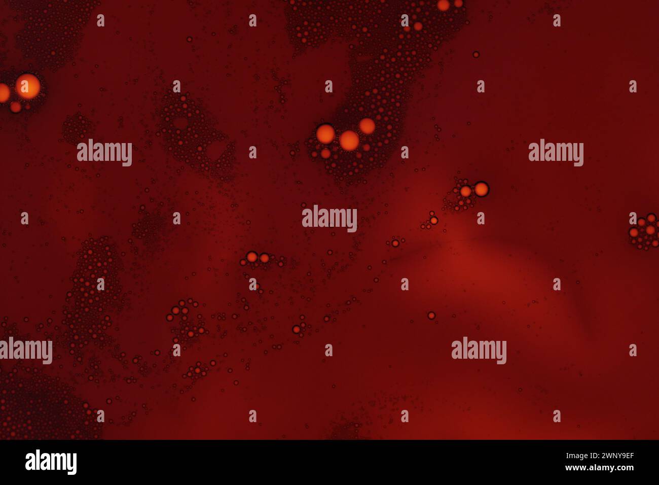Pool of blood Stock Photo - Alamy