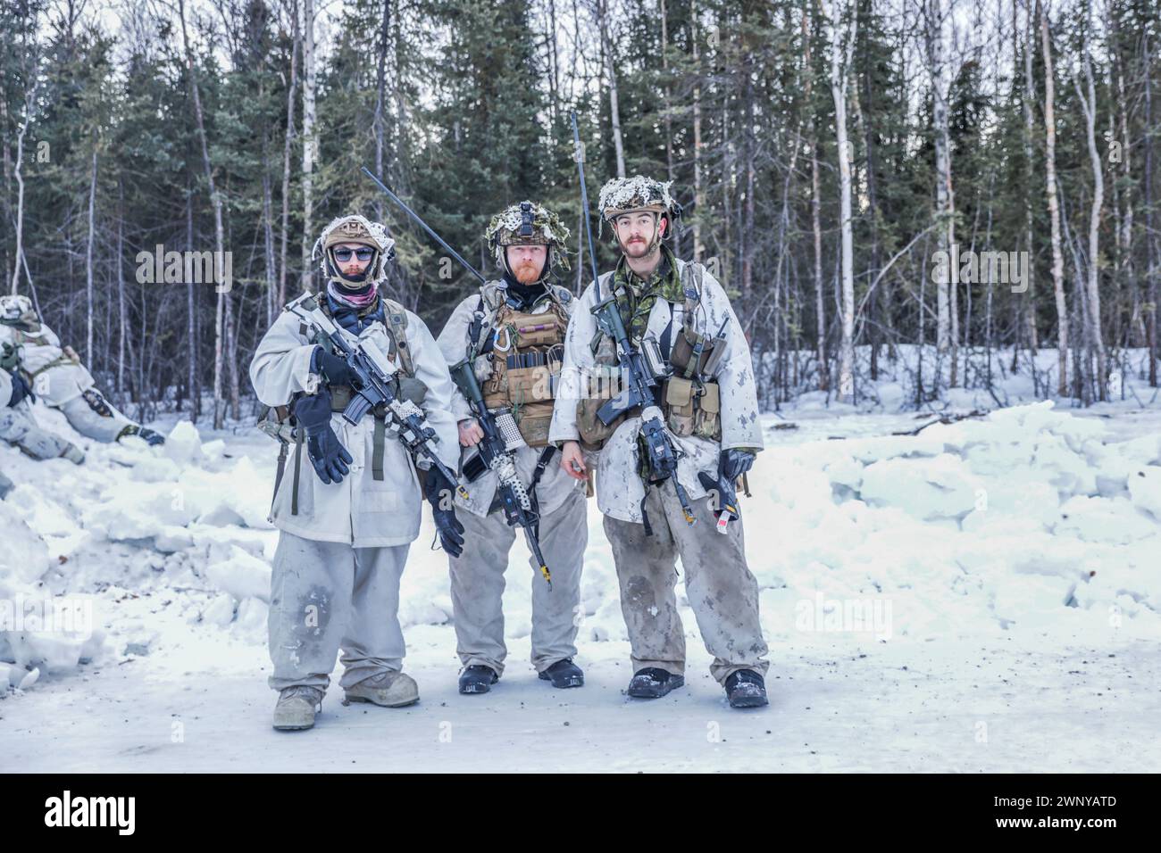 Canadian Soldiers from Alpha (Para) Company, 3rd Battalion, Princess ...