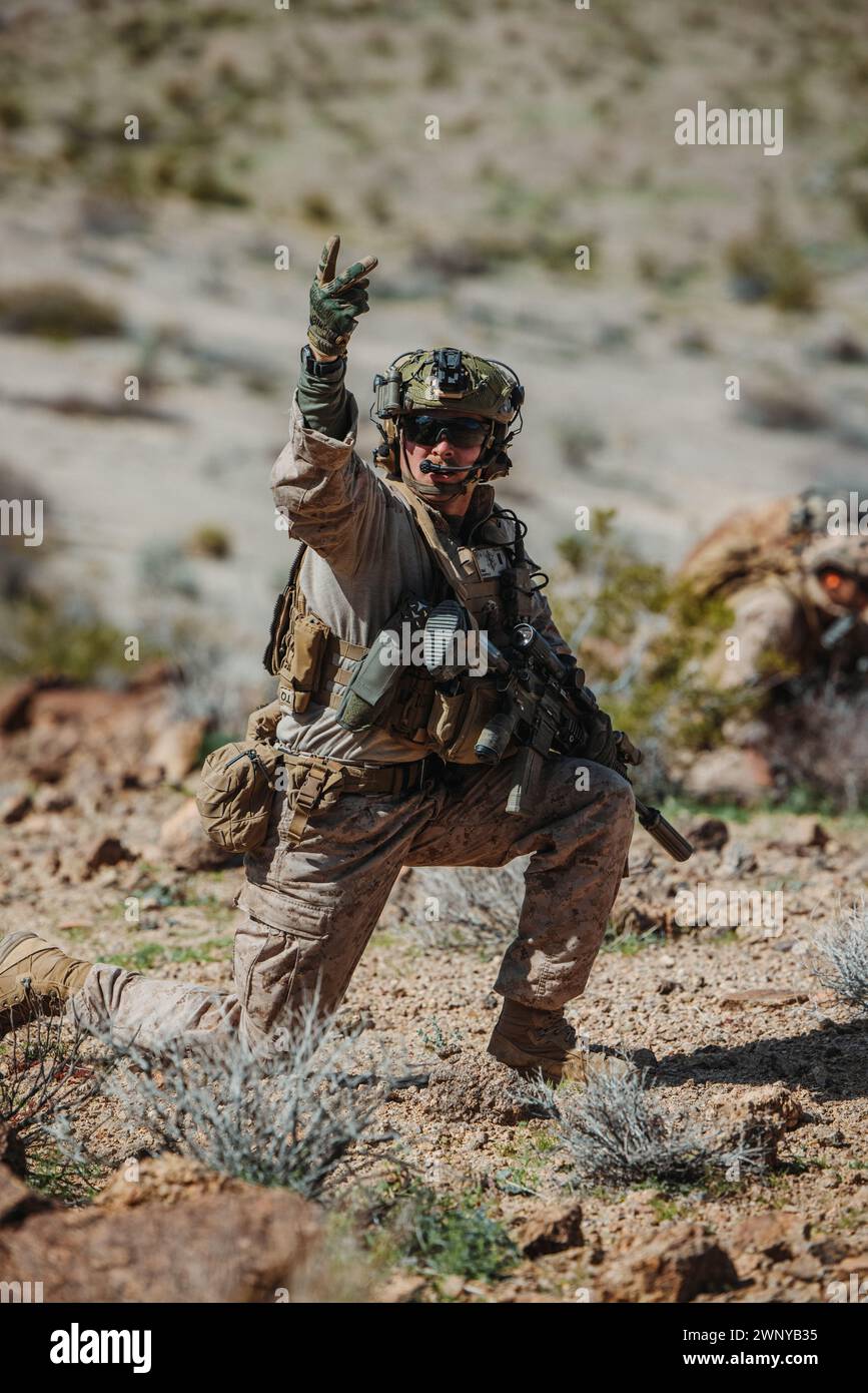 U.S. Marine Corps 1st Lt. David Phipps, a Bloomington, Illinois native ...