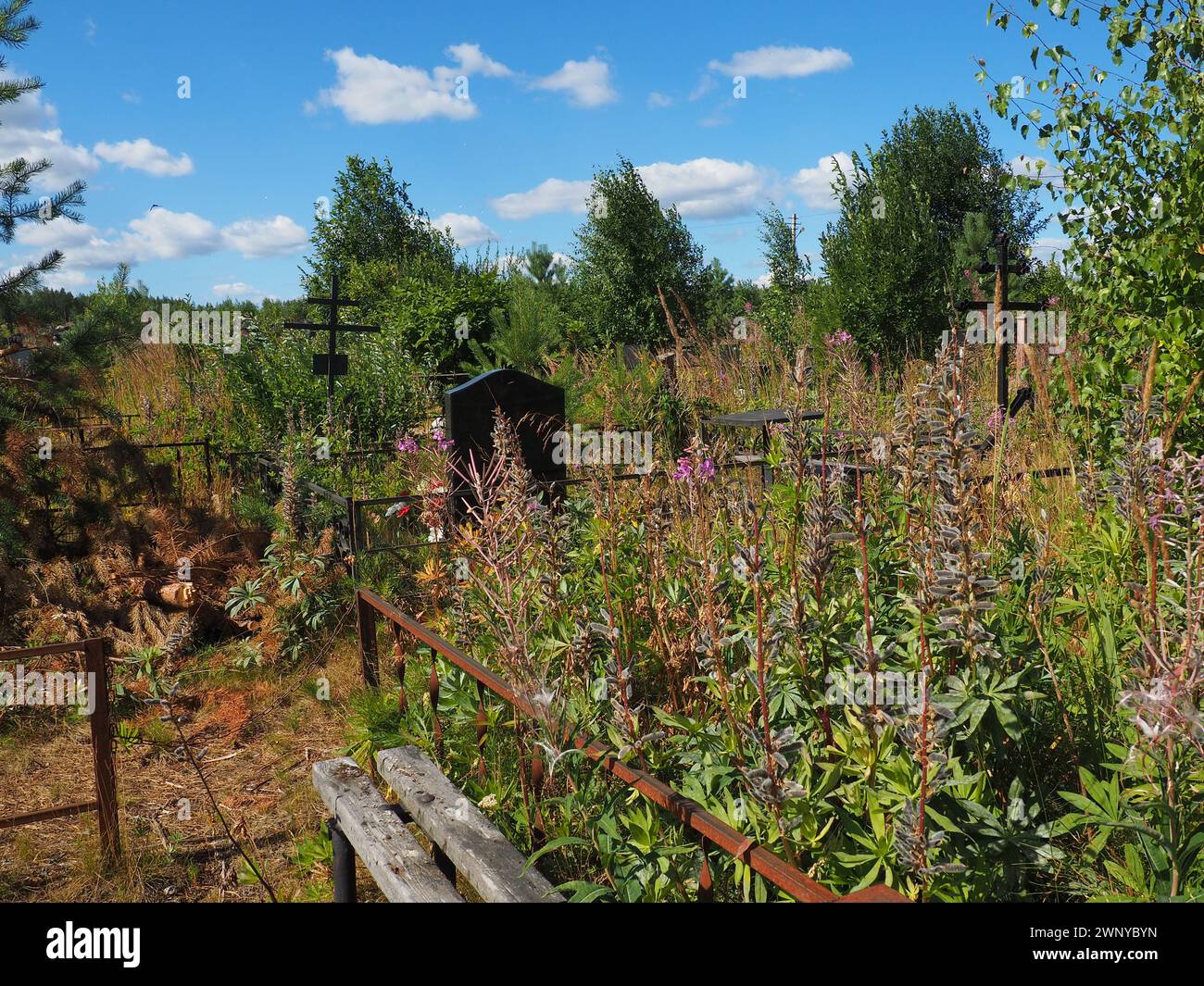 Cemetery with stone monuments. Old abandoned cemetery in the afternoon ...
