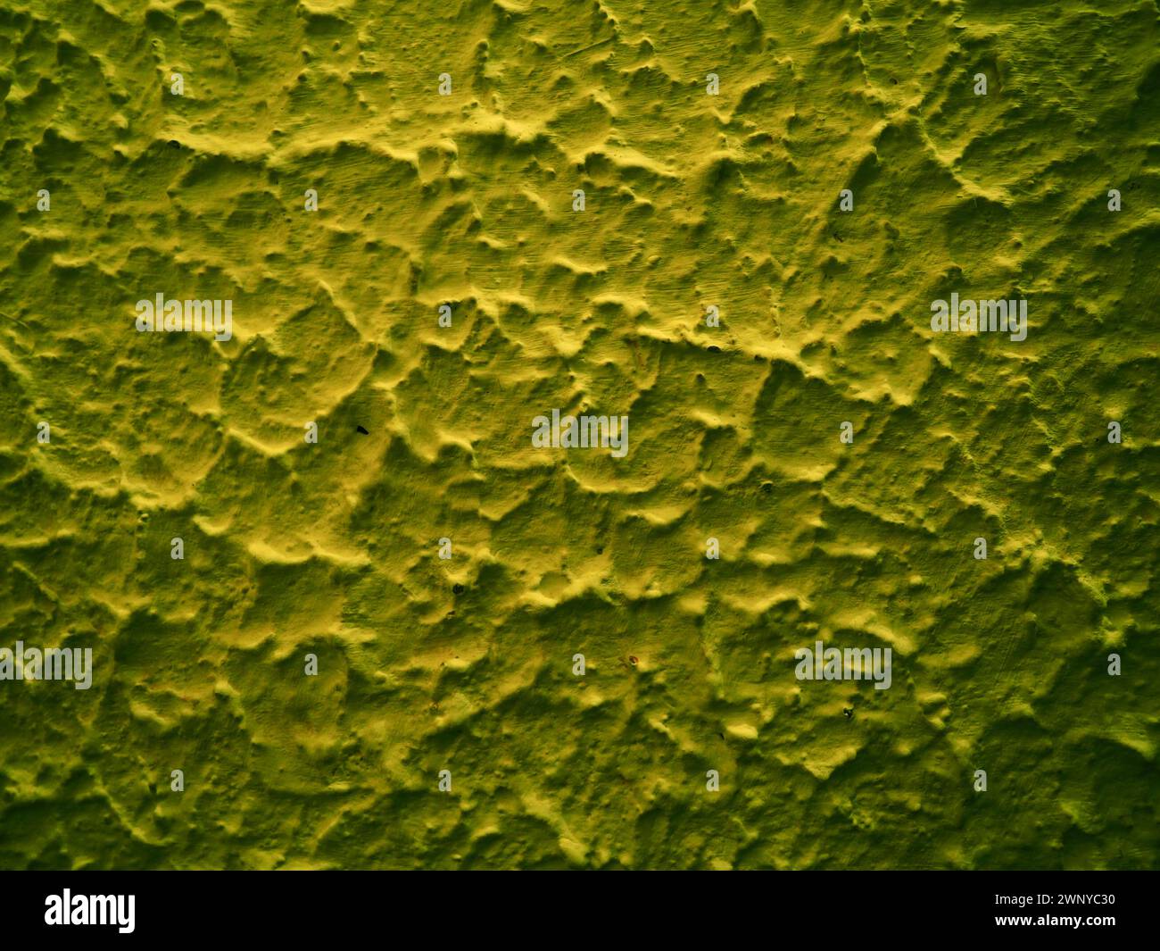 Plaster with pimples, finishing layer formed by hardened building ...