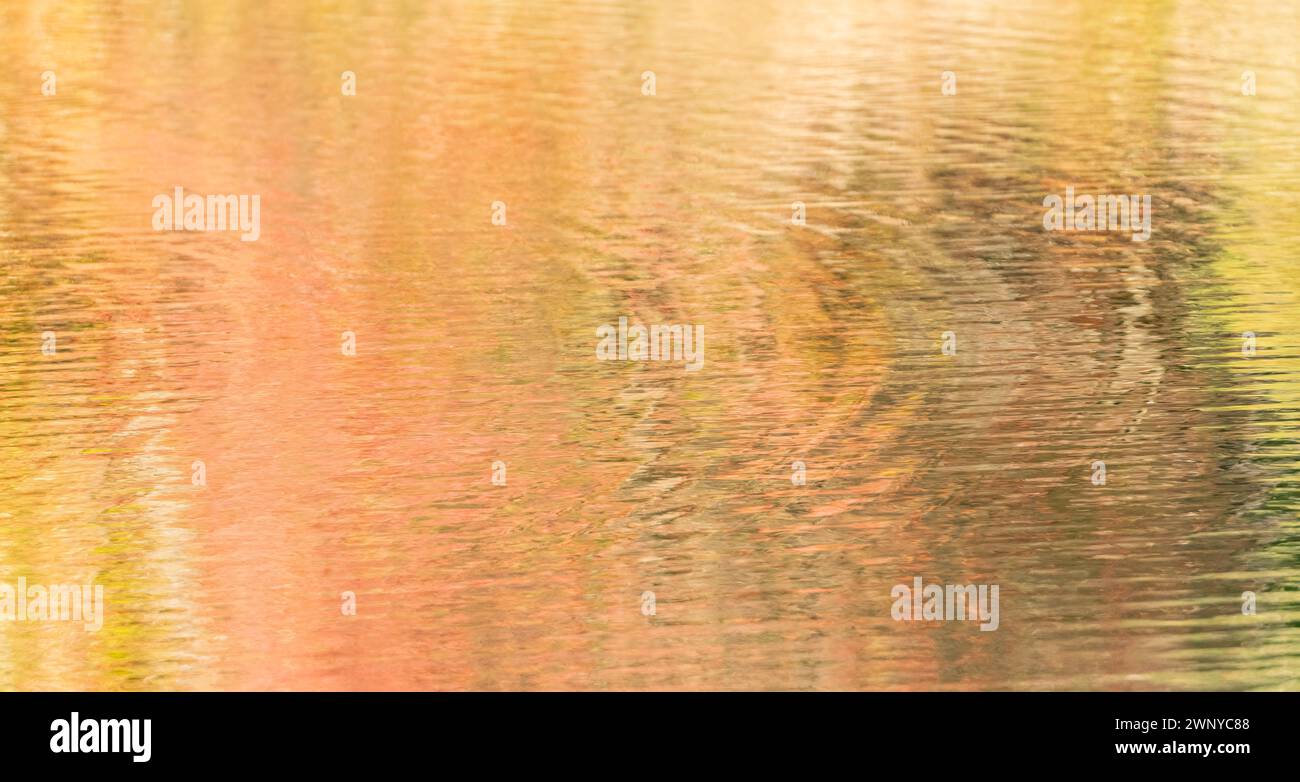 Abstract water reflection of autumn colors, seasonal landscape ...