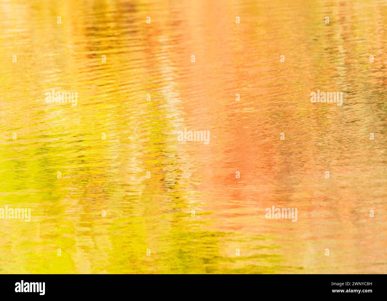 Abstract water reflection of autumn colors, colourful seasonal ...