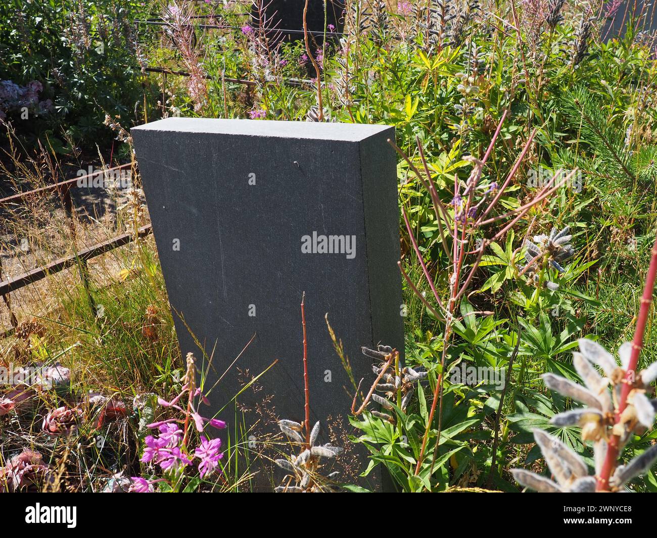 Cemetery with stone monuments. Old abandoned cemetery in the afternoon ...