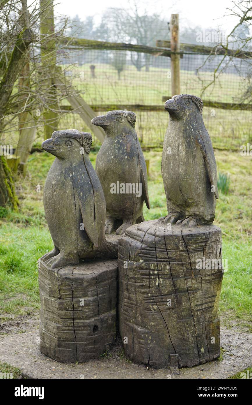 wooden penguin statue Stock Photo - Alamy