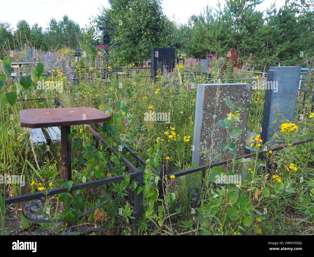 Cemetery with stone monuments. Old abandoned cemetery in the afternoon ...
