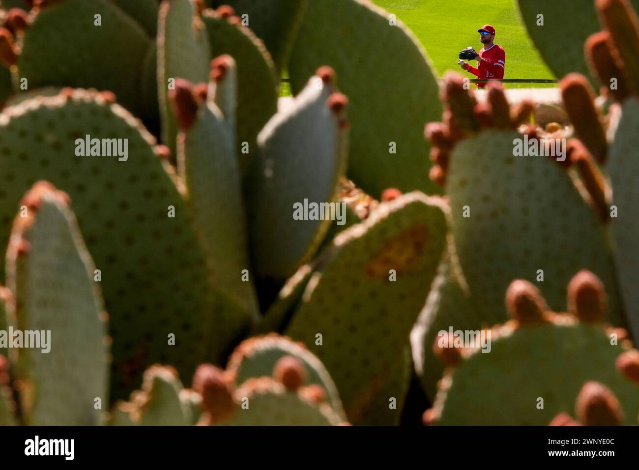 Los Angeles Angels center fielder Jake Marisnick is seen through a ...
