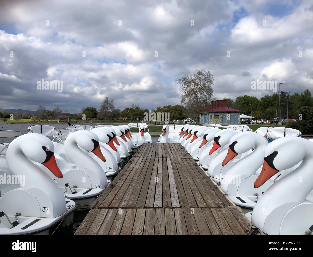 Swan boats, Lake Balboa Park,Lake Balboa, California, USA Stock Photo ...