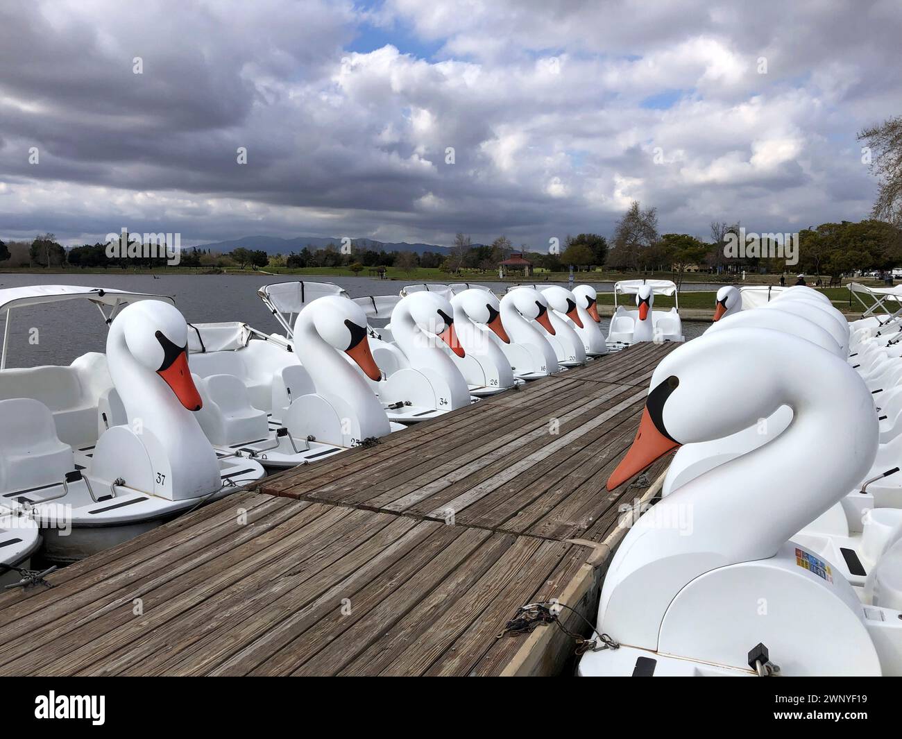 Swan boats, Lake Balboa Park,Lake Balboa, California, USA Stock Photo ...
