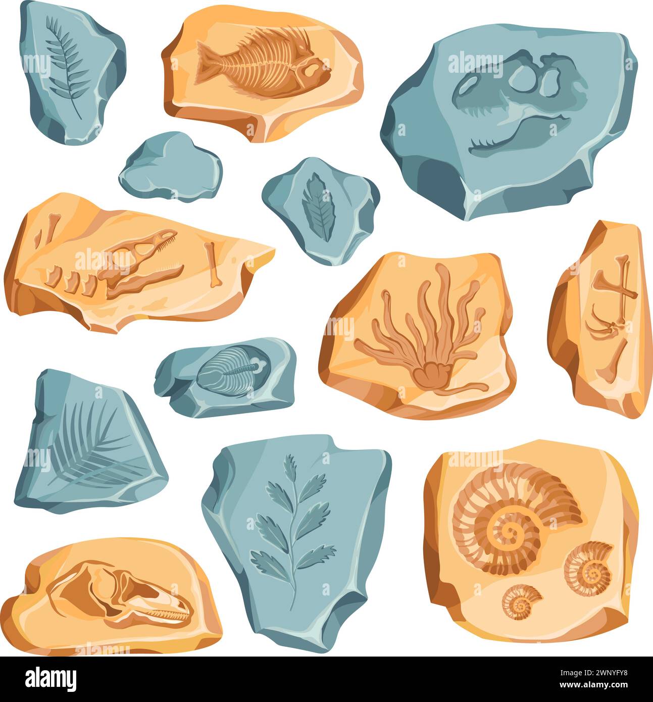 Plant and animal fossils fossil Stock Vector Images - Alamy