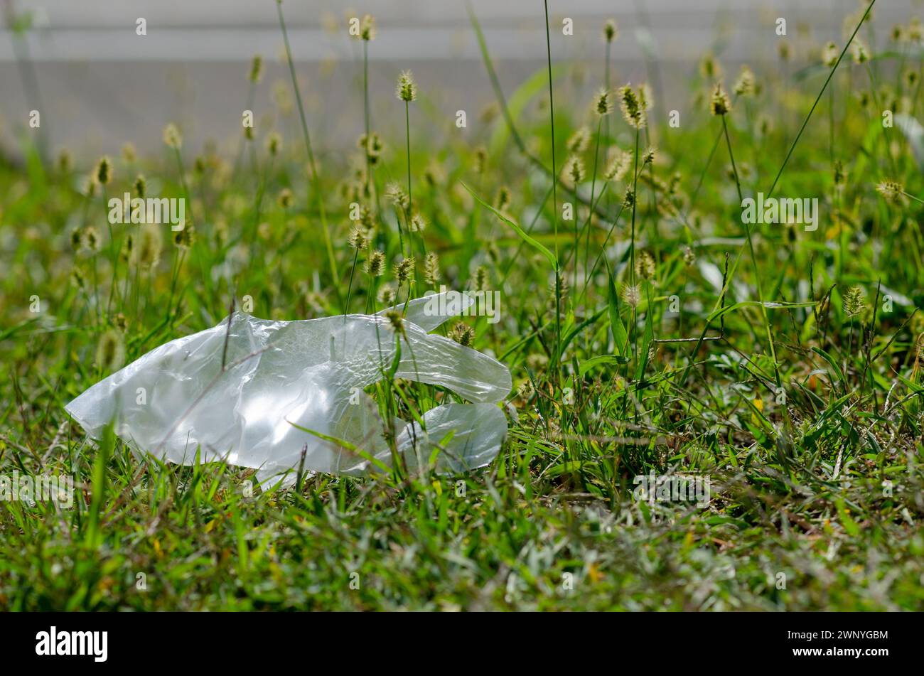 plastic pollution is reaching intolerable levels, too much plastic ...