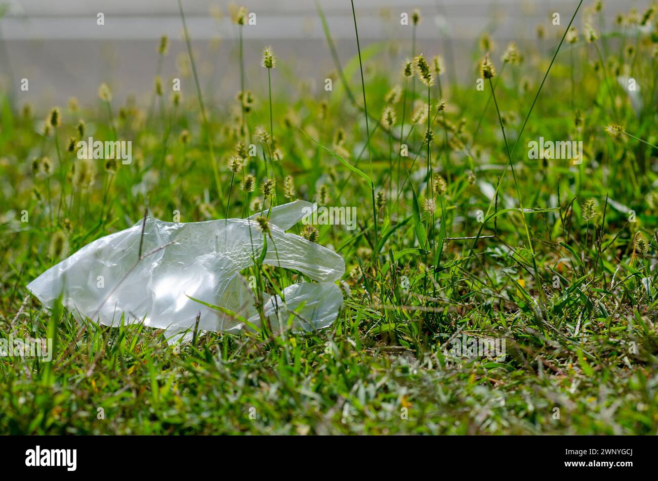plastic pollution is reaching intolerable levels, too much plastic ...