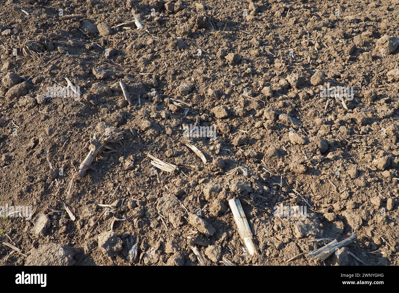 Arable field ready for spring agricultural work. Plowed black earth ...