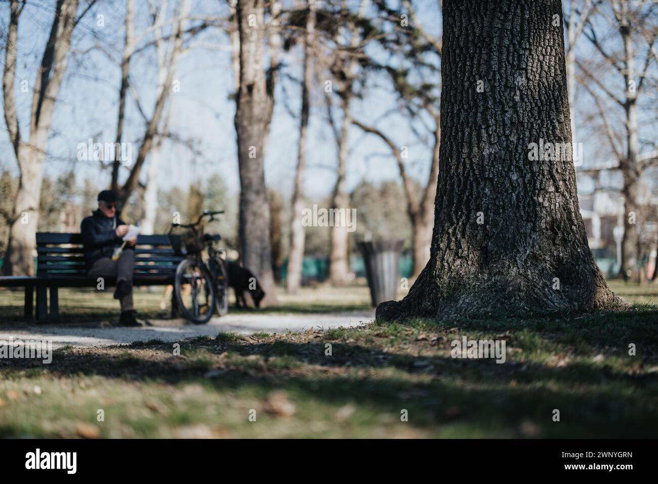 A tranquil setting in a park captures a man seated on a bench, absorbed ...