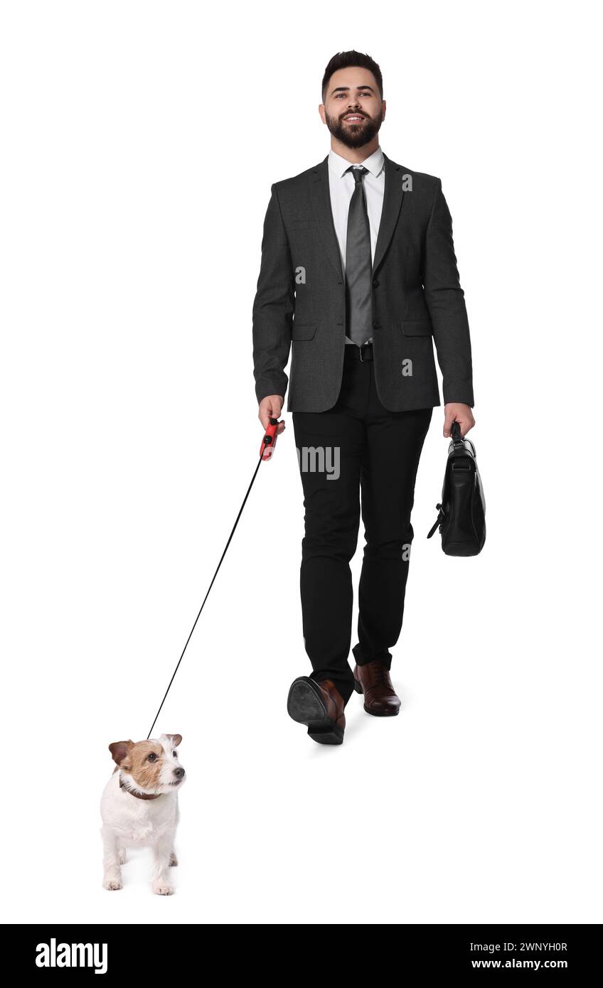 Smiling businessman walking with dog on white background Stock Photo ...