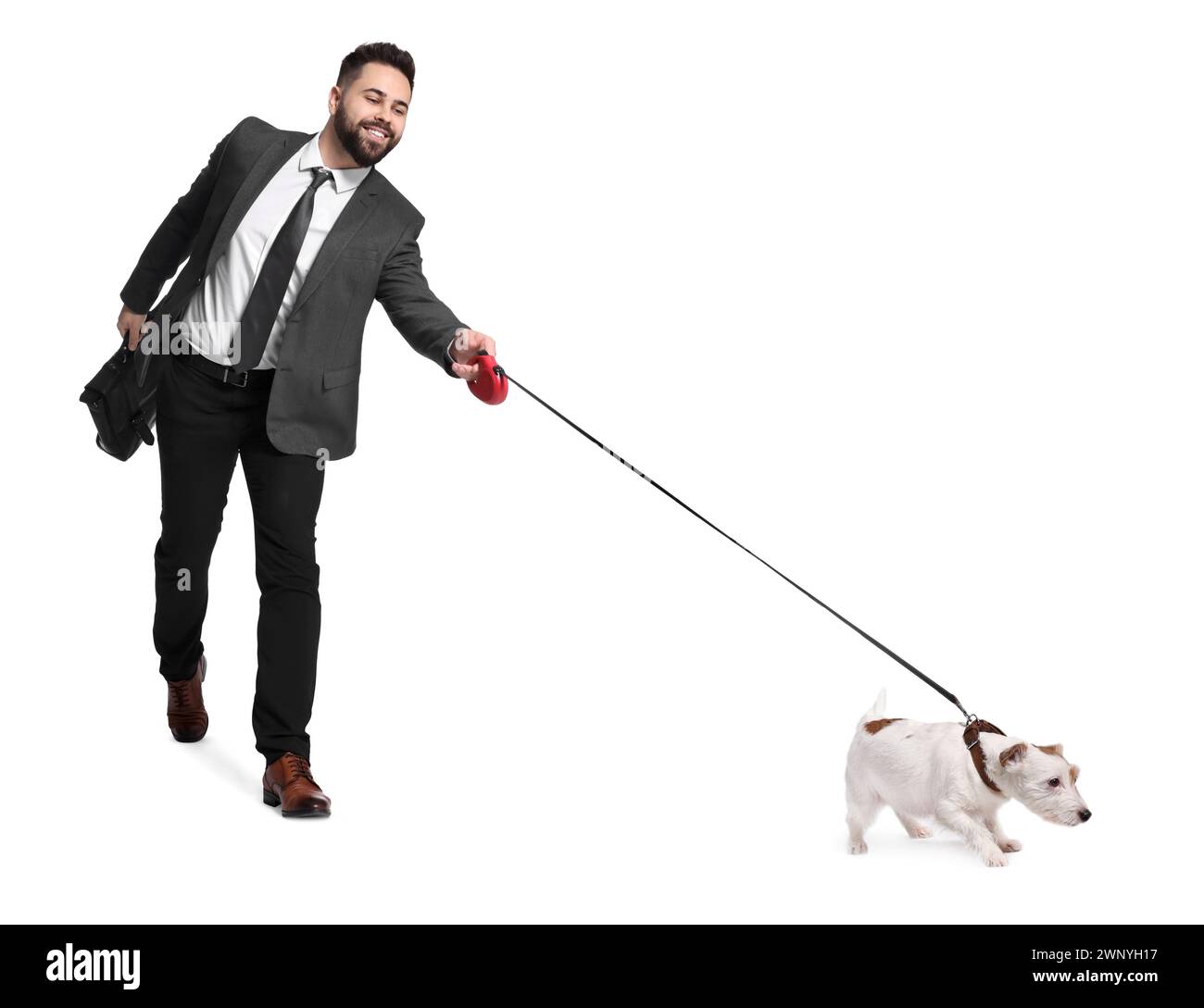 Smiling businessman walking with dog on white background Stock Photo ...