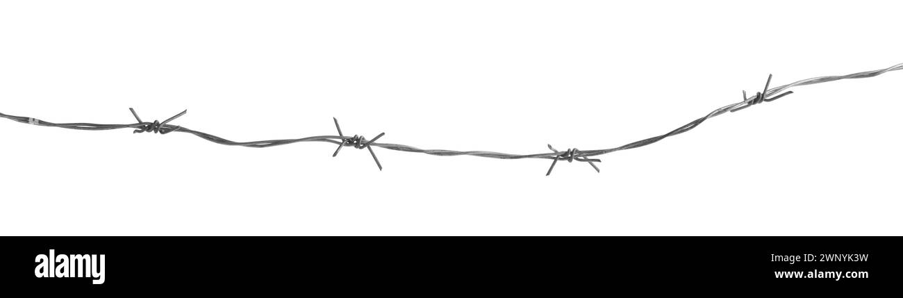 Shiny metal barbed wire isolated on white Stock Photo - Alamy