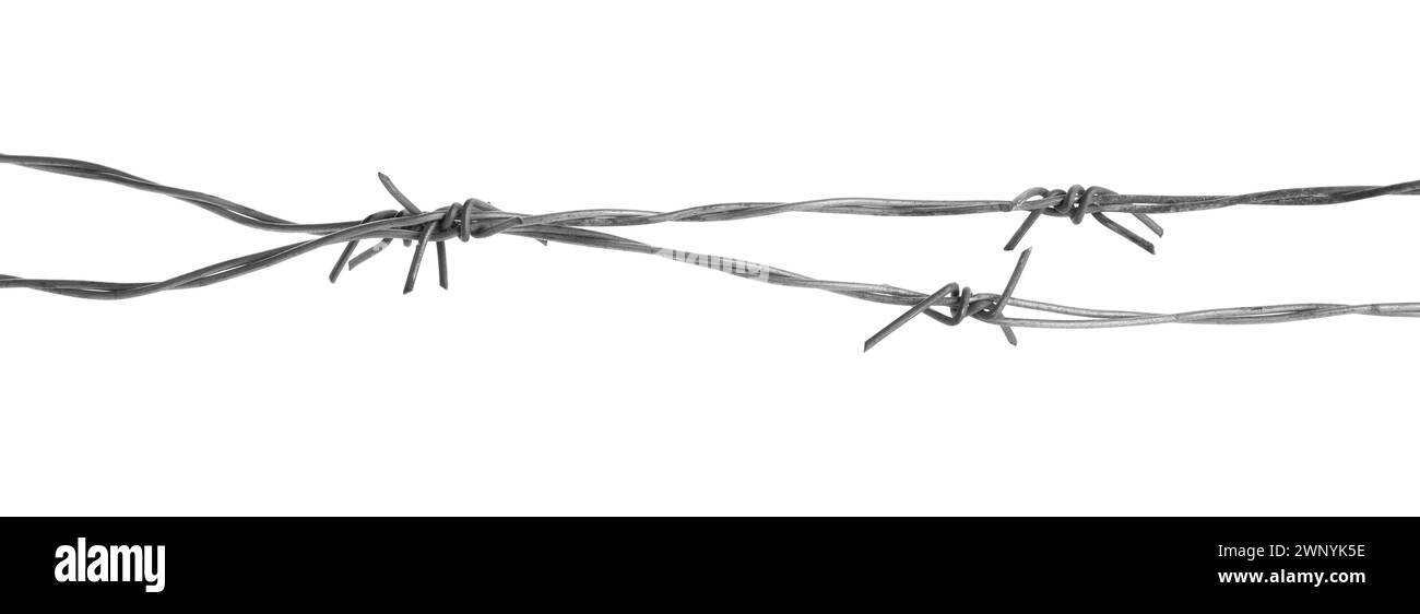 Shiny metal barbed wire isolated on white Stock Photo - Alamy