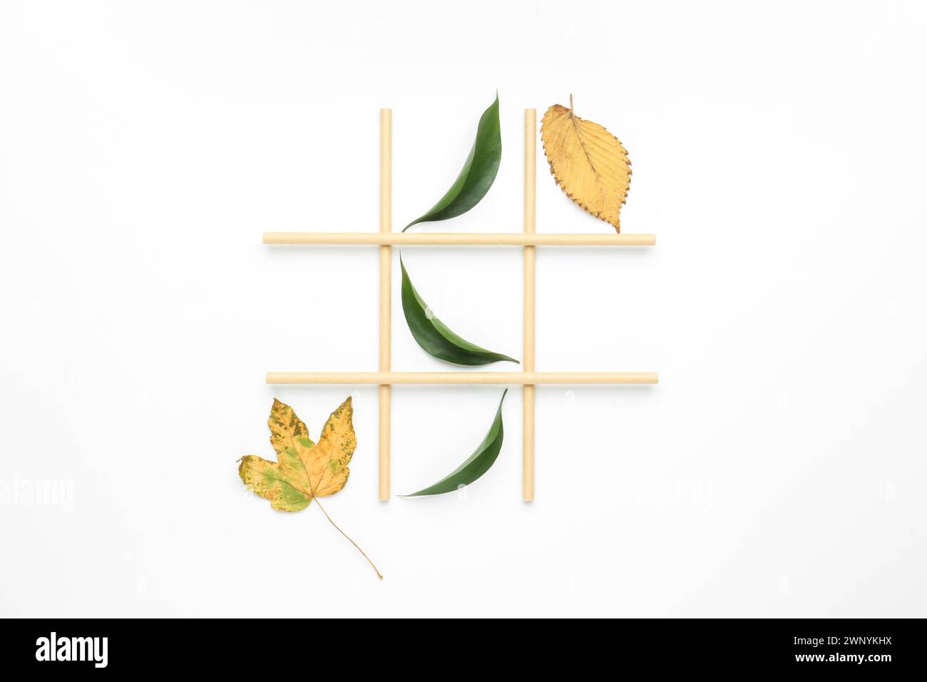 Tic tac toe game made with fresh and dry leaves on white background ...