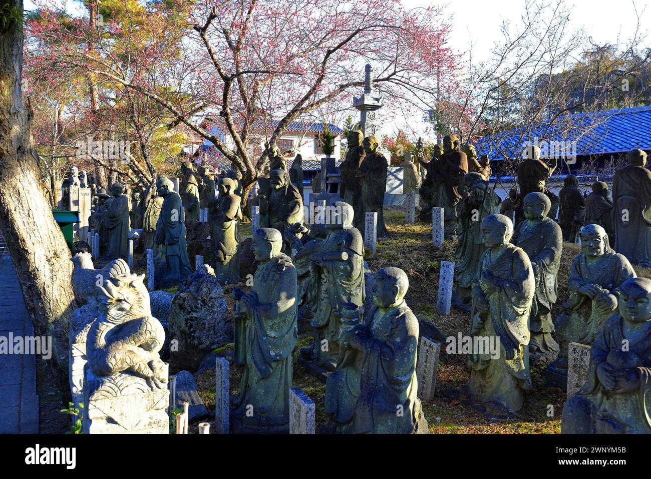 Tenryu-ji, a venerable Zen temple at Arashiyama, Susukinobabacho ...