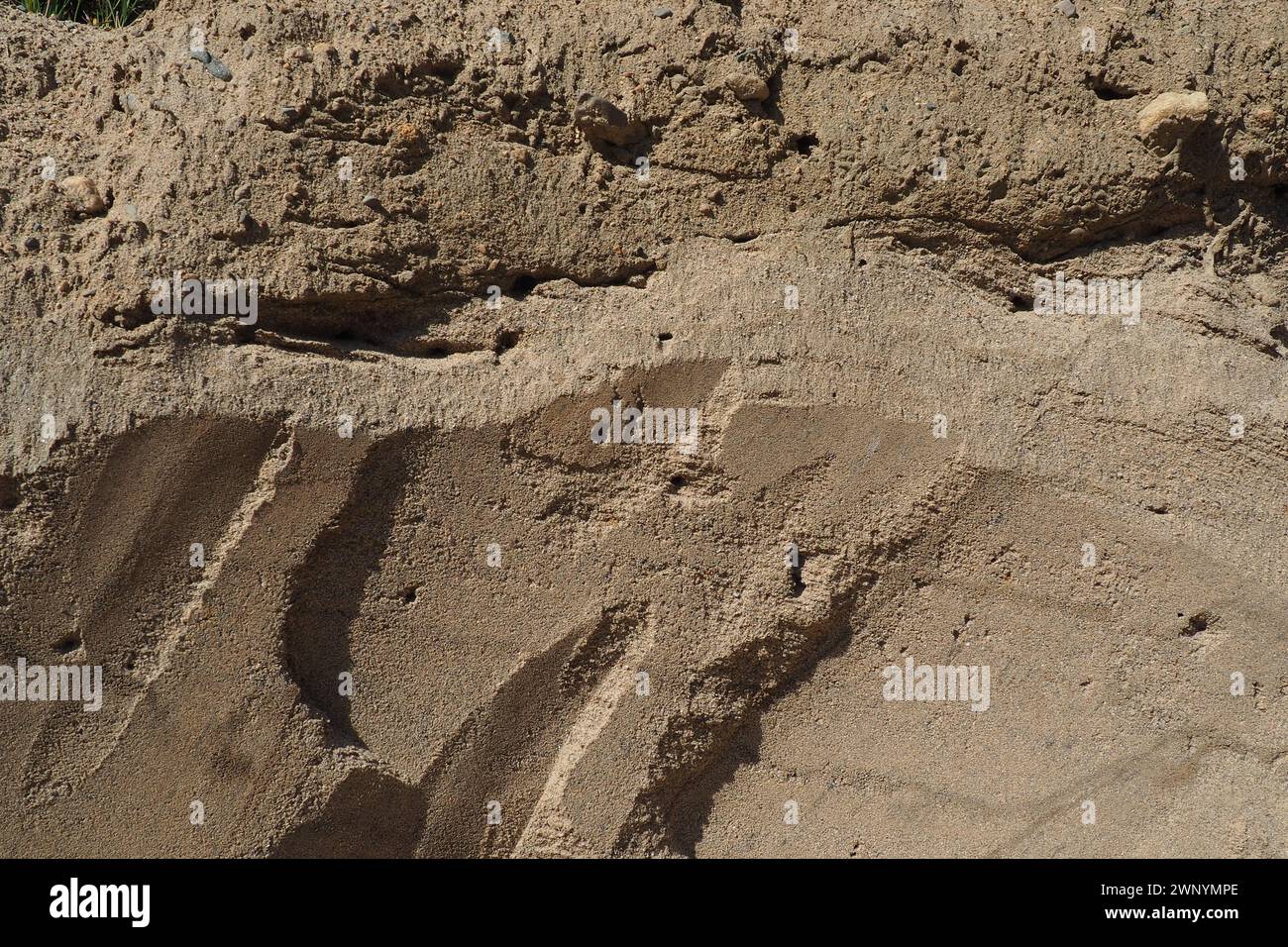 Sandstone is a fragmentary sedimentary rock, a homogeneous or layered ...