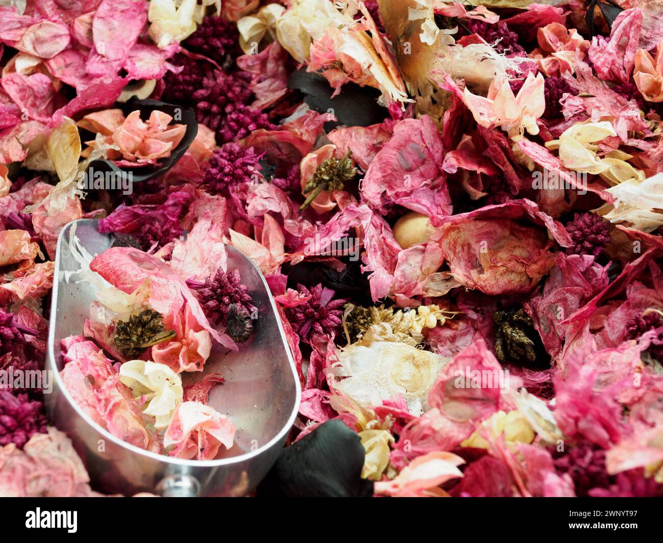 Farmers market alexandria va hi-res stock photography and images - Alamy