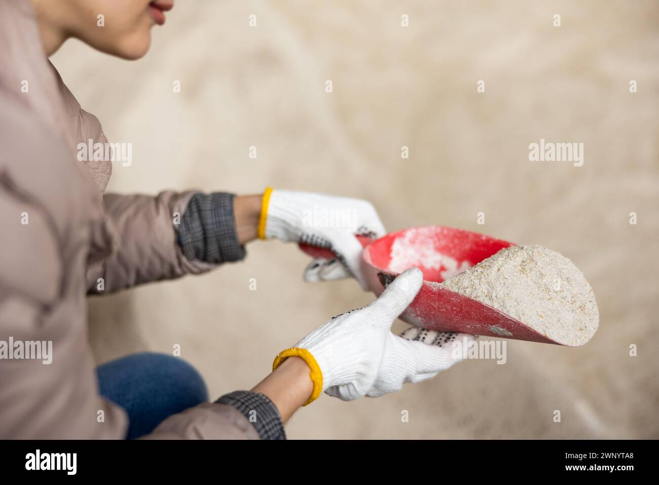 Corn germ hi-res stock photography and images - Alamy