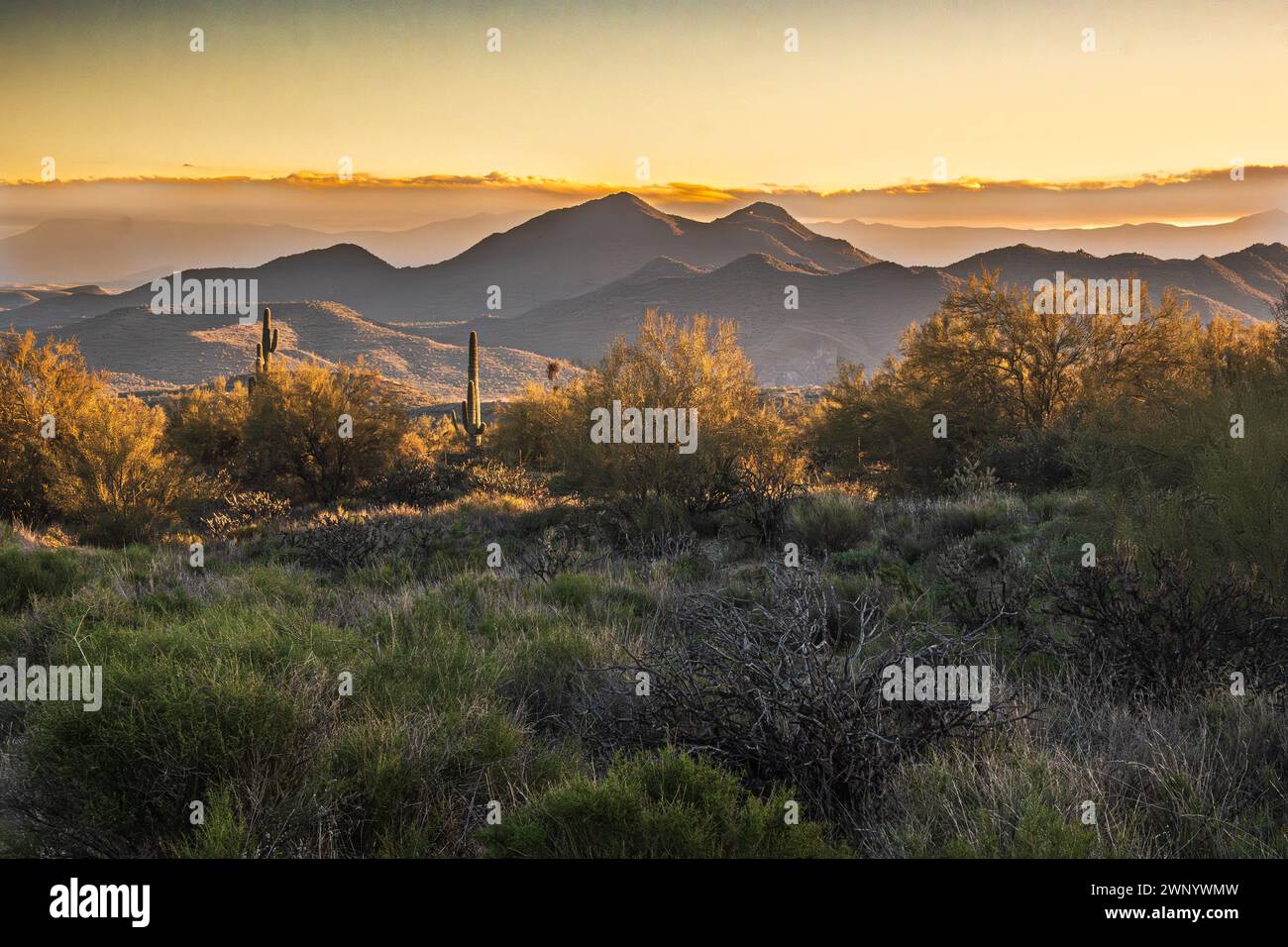 Red mountain phoenix arizona hi-res stock photography and images - Alamy