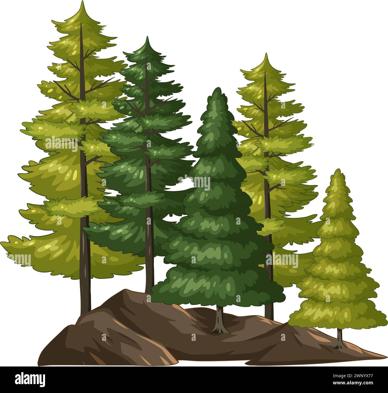 Deciduous forest trees in Stock Vector Images - Alamy