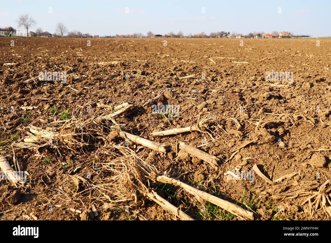 Arable field ready for spring agricultural work. Plowed black earth ...