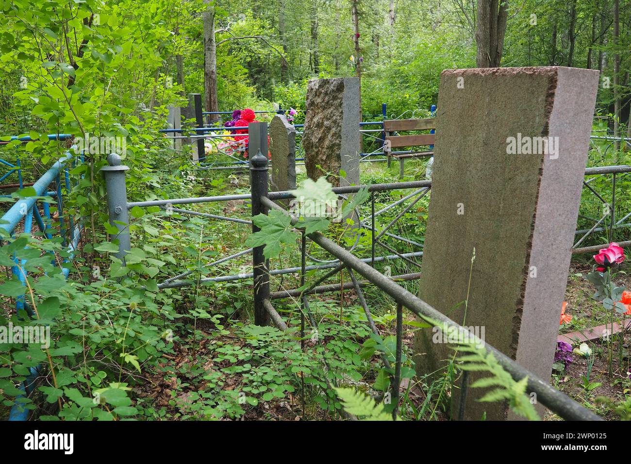 Cemetery with stone monuments. Old abandoned cemetery in the afternoon ...