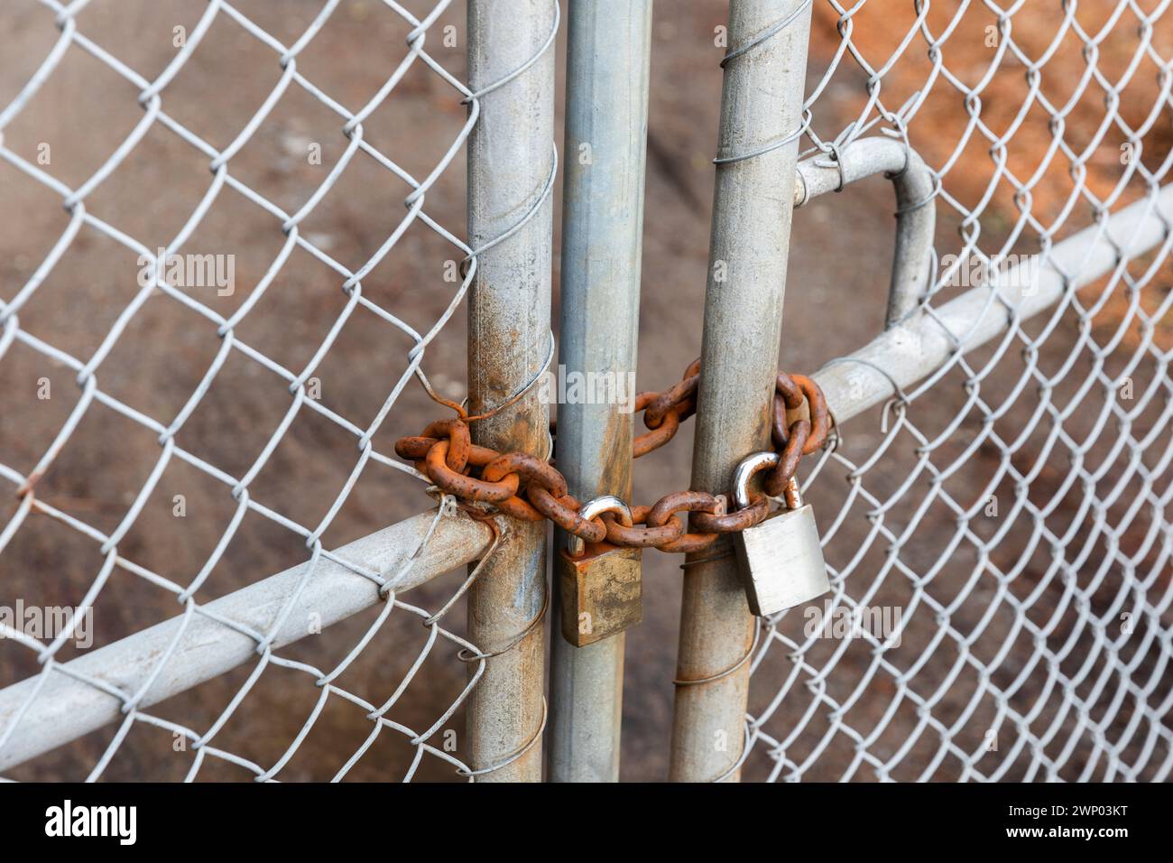 Locks and chains fastened to a metal fence, serving as a secure link to ...