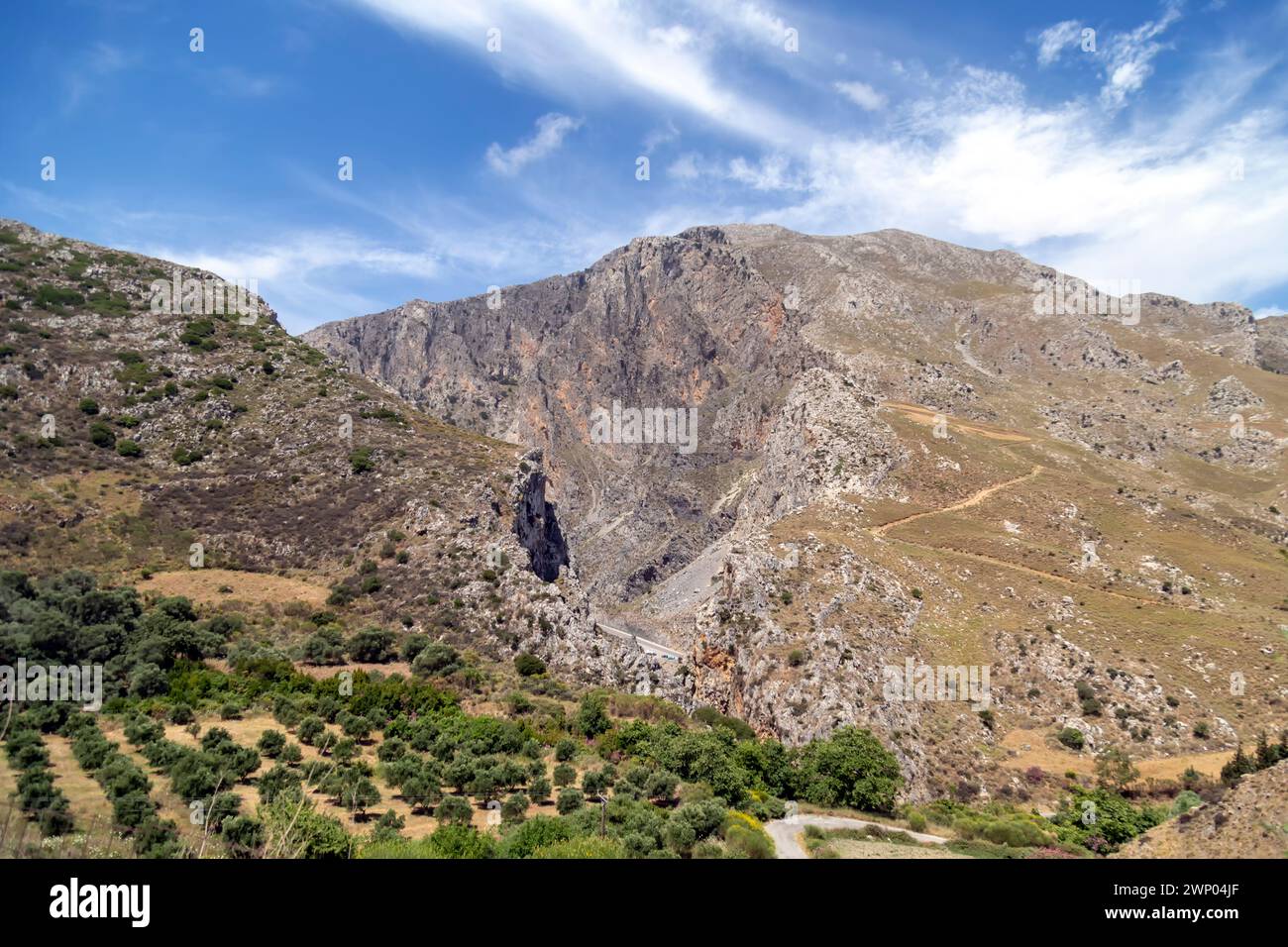 Olive fields on the Mediterranean island of Crete (Greece Stock Photo ...