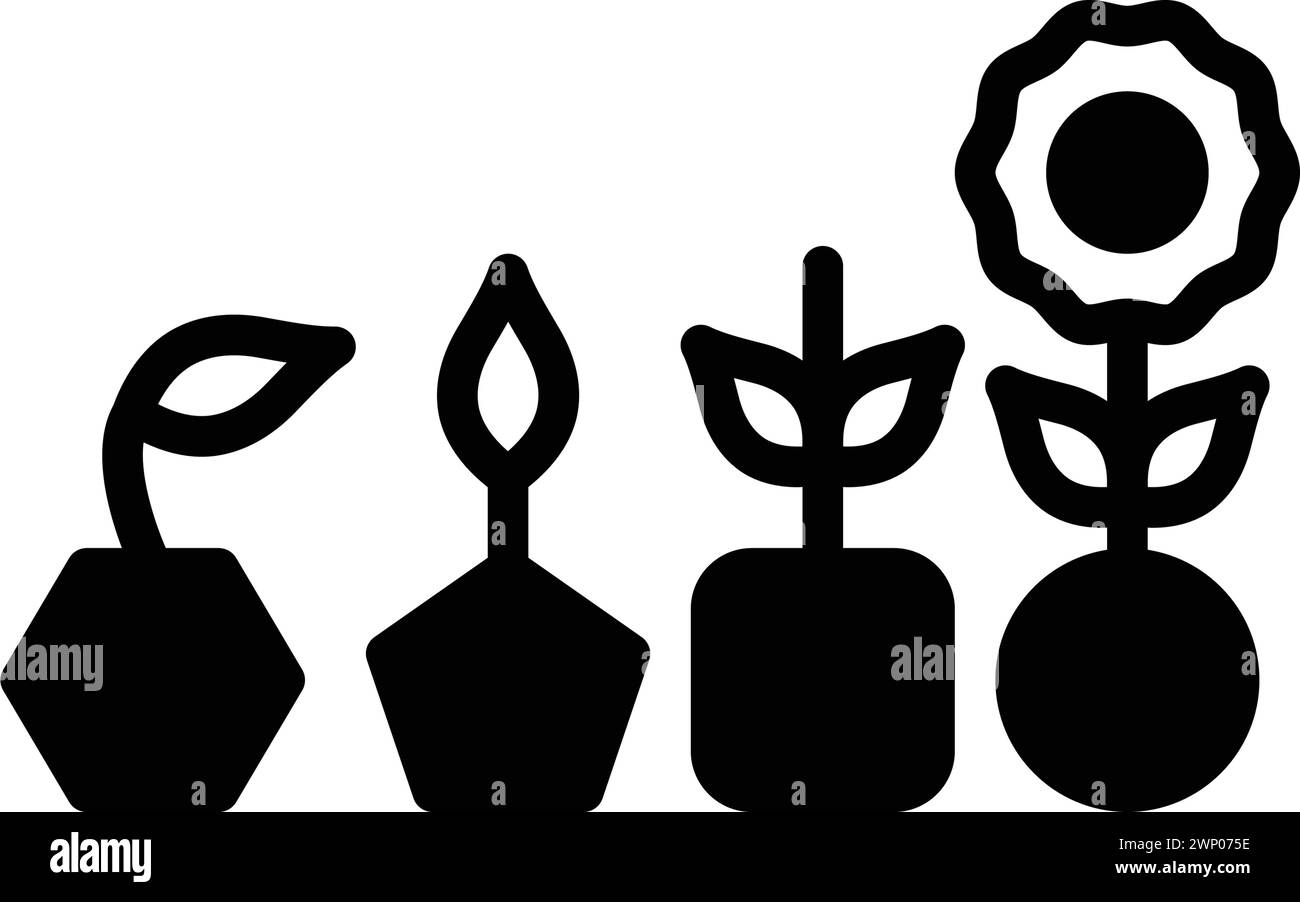 Growth sapling Black and White Stock Photos & Images - Alamy