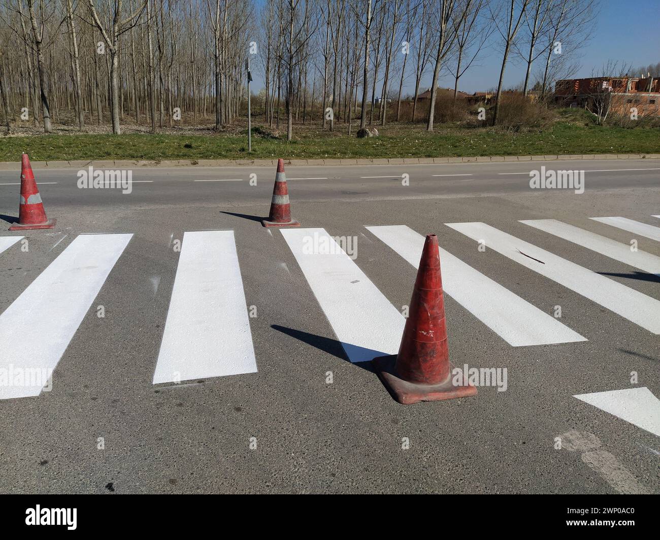 Painting pedestrian crossings with new paint. Road warning plastic ...