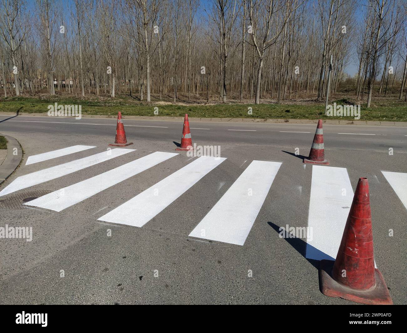 Painting pedestrian crossings with new paint. Road warning plastic ...