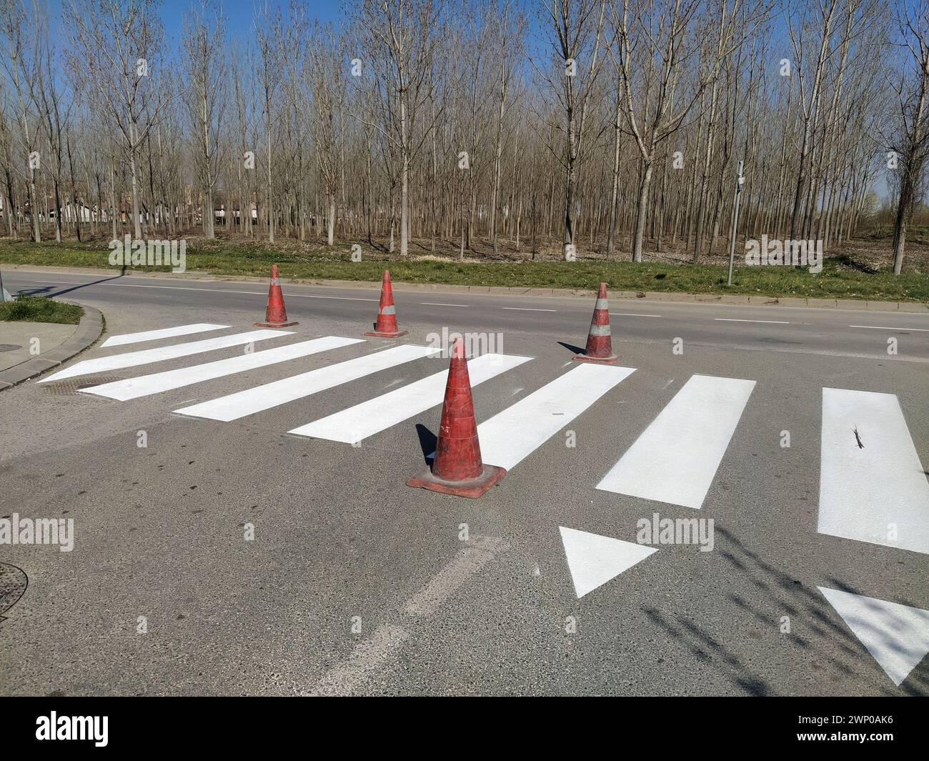 Painting pedestrian crossings with new paint. Road warning plastic ...