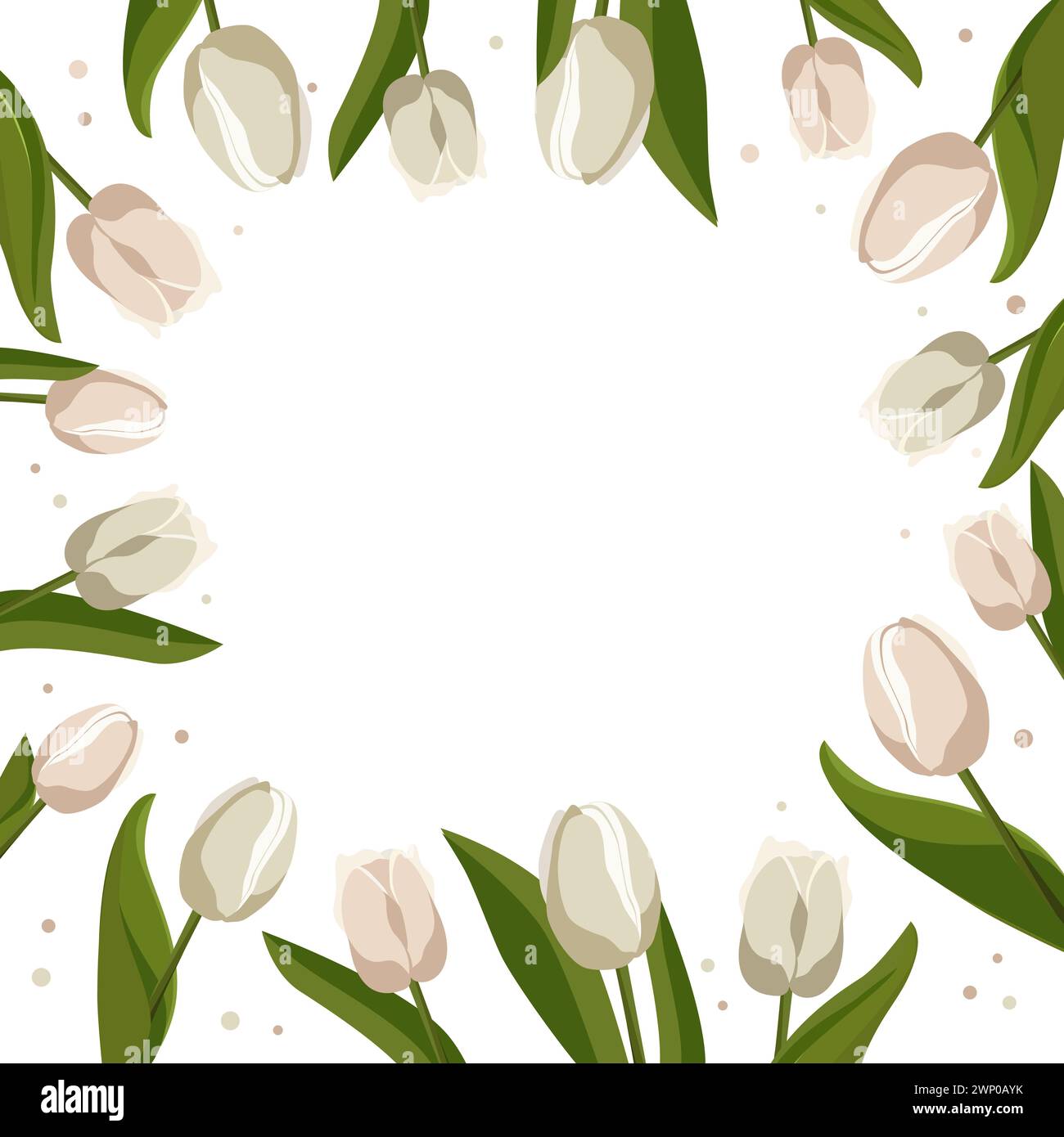 Spring square frame with white tulips for words and text. Vector ...