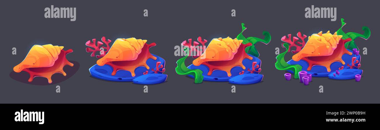 Conch shell drawing hi-res stock photography and images - Alamy