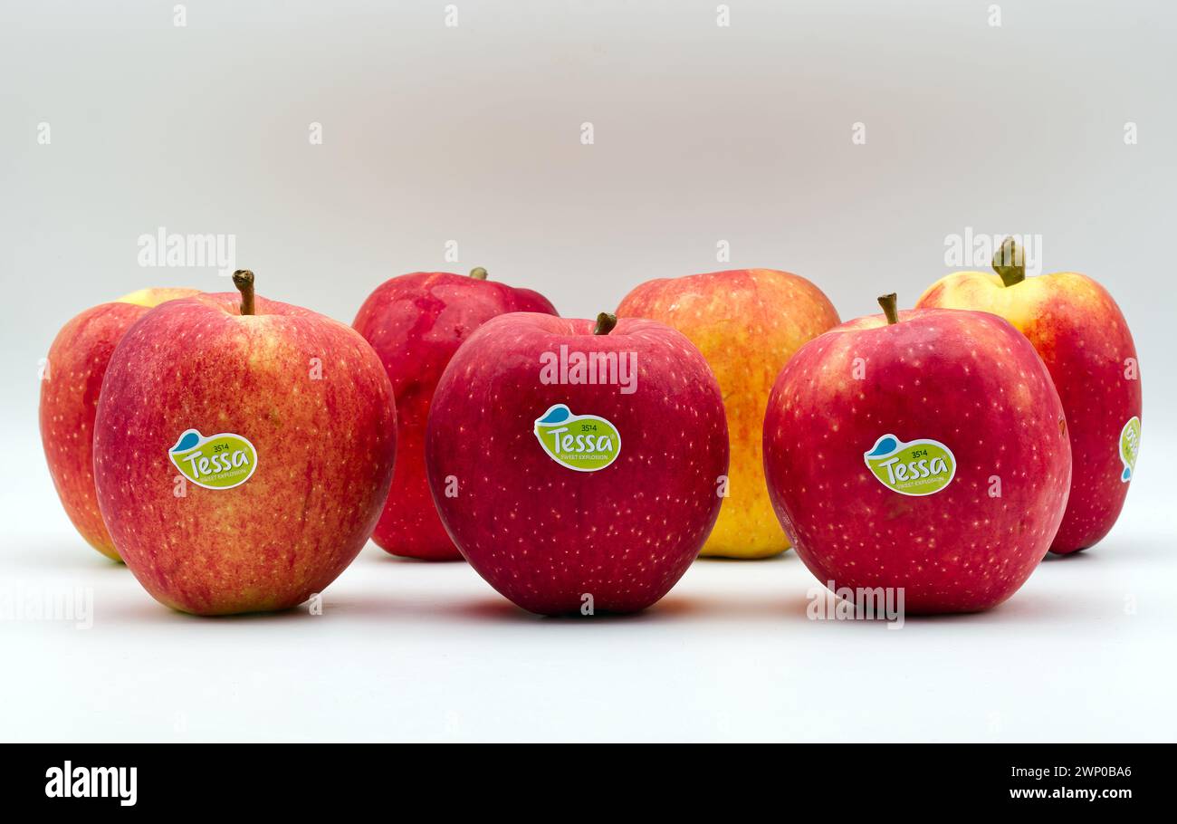 Tessa sweet explosion apple cultivar isolated on white background Stock ...