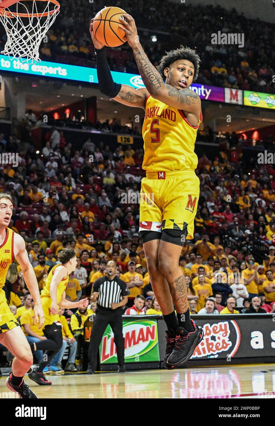 COLLEGE PARK, MD - March 3: Maryland Terrapins guard DeShawn Harris ...