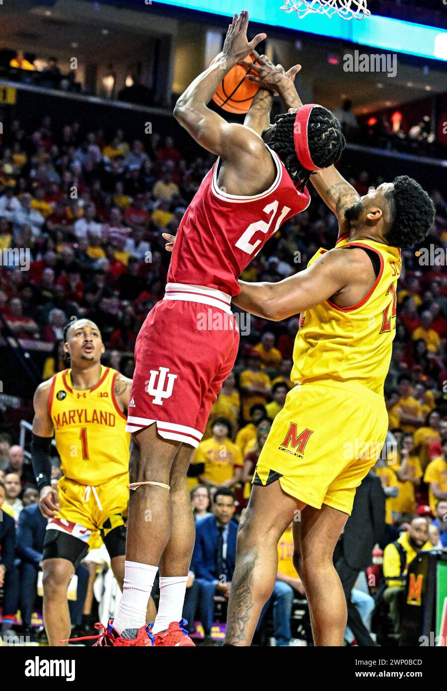 COLLEGE PARK, MD - March 3: Indiana Hoosiers forward Mackenzie Mgbako ...