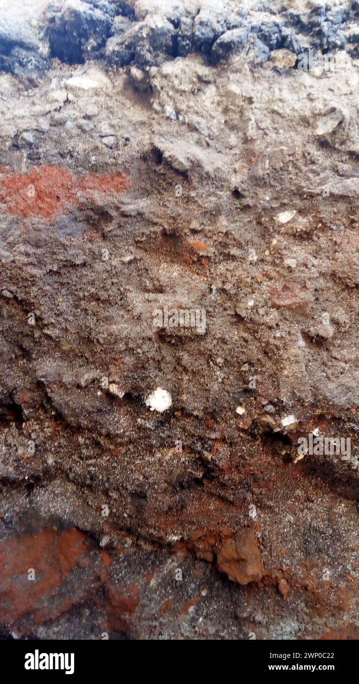 research the types of soil to find out the types, kinds and mixtures ...