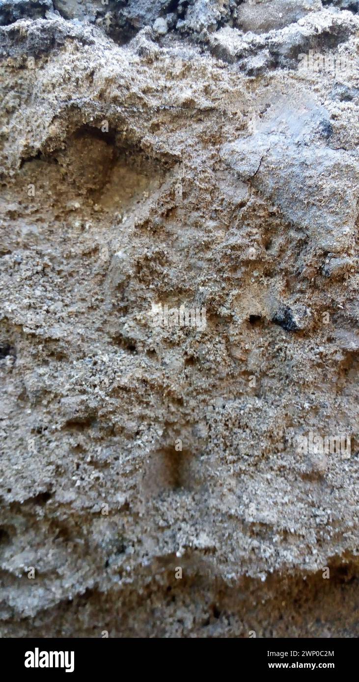 research the types of soil to find out the types, kinds and mixtures ...