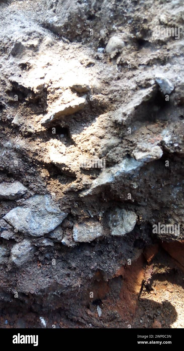 research the types of soil to find out the types, kinds and mixtures ...