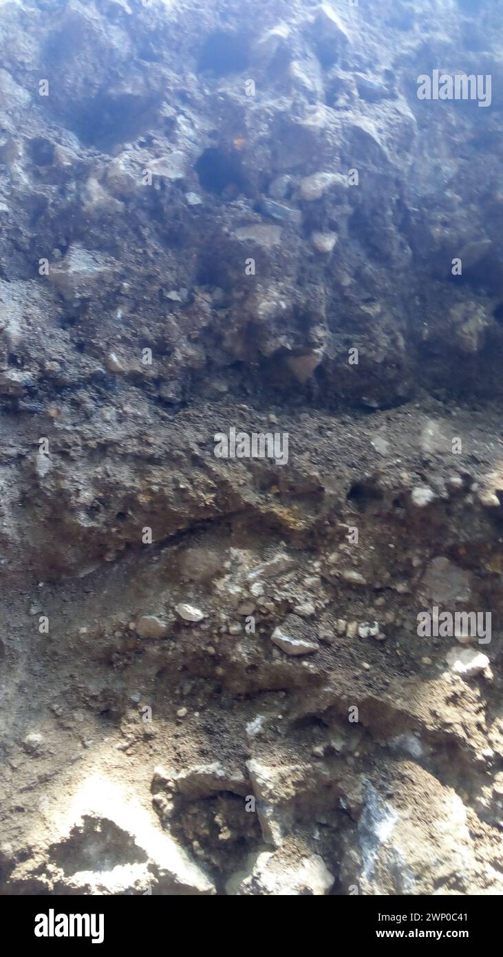 research the types of soil to find out the types, kinds and mixtures ...